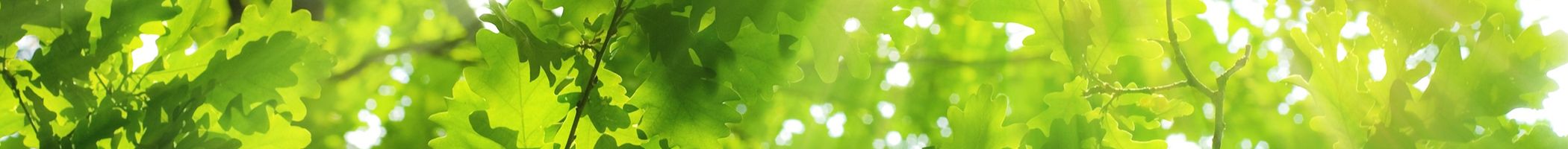 about-banner - LAYANA | IATF16949 Certified Manufacturer/Supplier